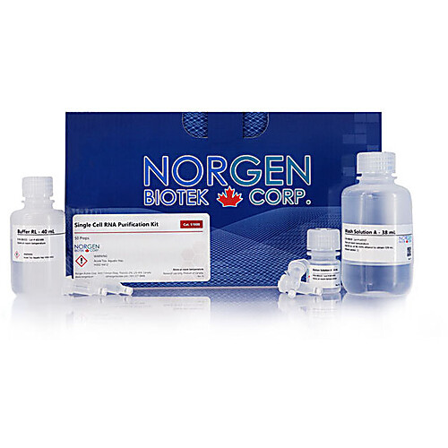 Single Cell RNA Purification Kit