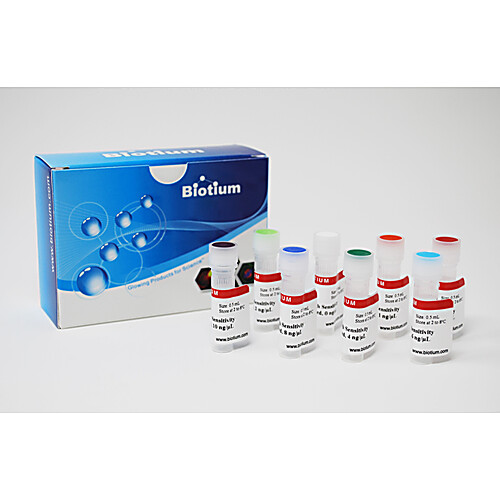 AccuBlue® High Sensitivity dsDNA Quantitation Kit