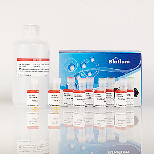AccuClear® uLtra High Sensitivity dsDNA Quantitation Kit with DNA Standards