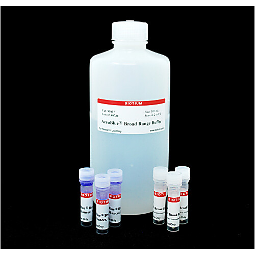 AccuBlue® Broad Range dsDNA Quantitation Solution