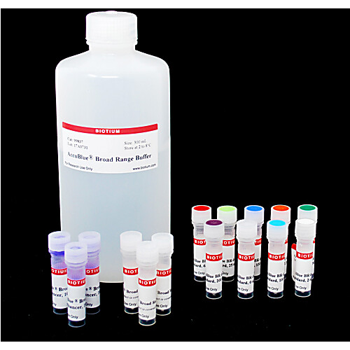 AccuBlue® Broad Range dsDNA Quantitation Kit
