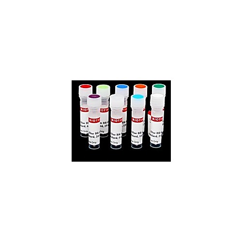 AccuBlue® Broad Range dsDNA Quantitation Standards