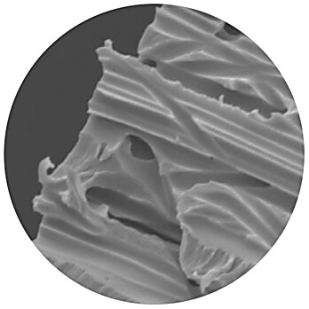 Black Polycarbonate (PCTE) Membrane Filters