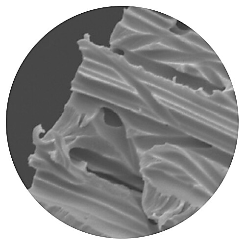 Black Polycarbonate (PCTE) Membrane Filters