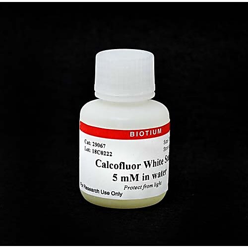 Calcofluor White Stain, 5 mM in water 20mL