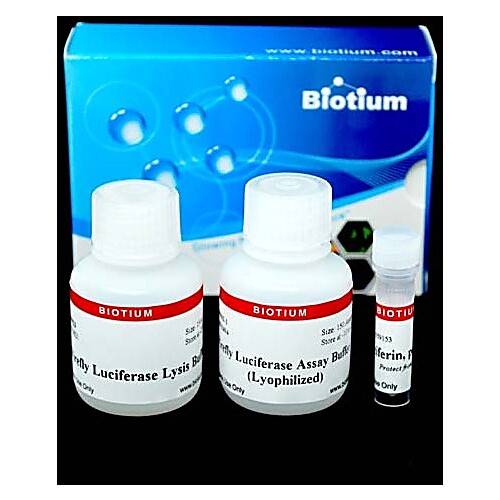 Firefly Luciferase Assay Kit