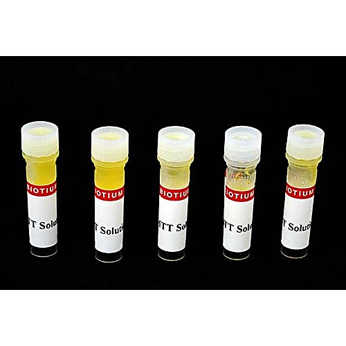 MTT Cell Viability Assay Kit (1000 Assays)