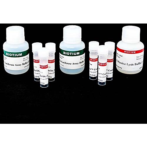 Firefly & Renilla Luciferase Single Tube Assay Kit