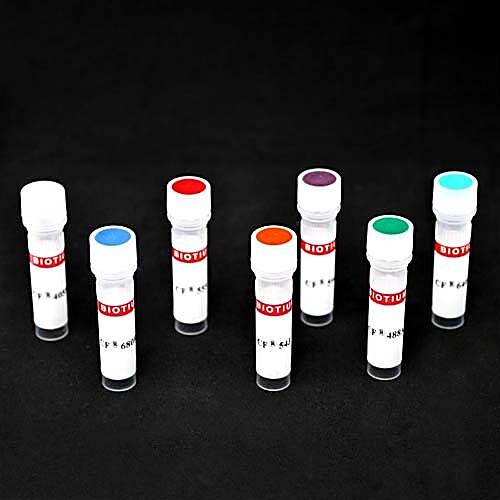 CF®680 Donkey Anti-Rabbit, Highly Cross-Adsorbed