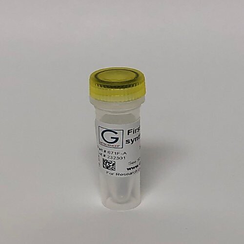 First Strand cDNA Synthesis Kit