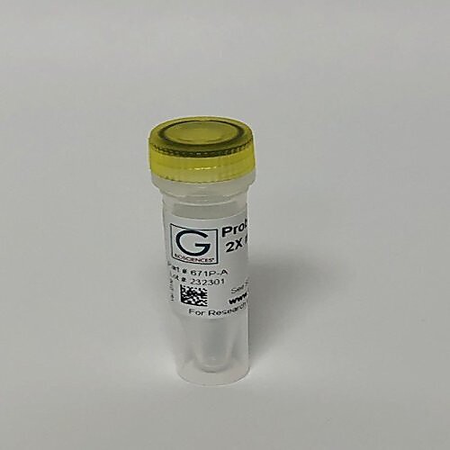 Probe-based qPCR 2X Master Mix