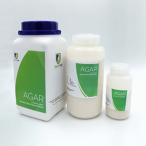 Benzylaminopurine (6-BAP) Solution