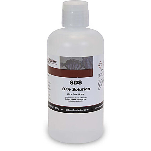 Sodium Dodecyl Sulfate (SDS) Solution, 10% Solution