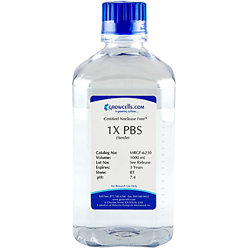 1X PBS (Phosphate Buffered Saline) pH 7.4