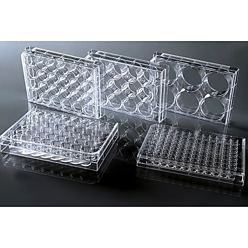 Cell Culture Plates, 48 Wells
