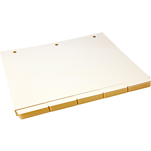 1/5th cut blank tabs, for use in three hole drilled , 8.5" x 11" clean ...