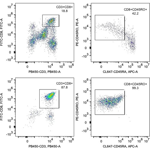 Human CD8 Memory T Cell Isolation Kit
