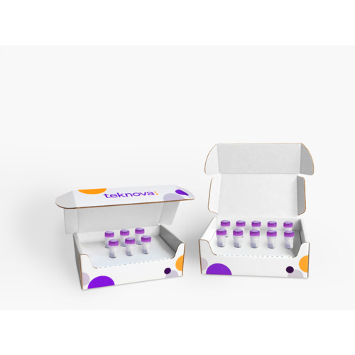 AAV·Tek™ PCR Sample Prep Kit: DNase I Treatment + Dilution Buffer