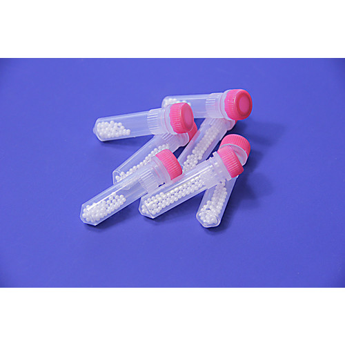 Lysing Matrix Z, 2mL Tubes