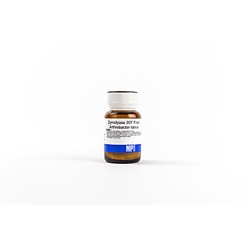 Zymolyase 20T from Arthrobacter luteus