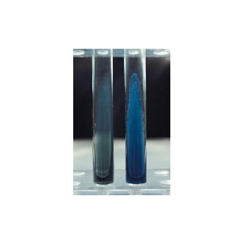 Simmons Citrate Agar, 500 g