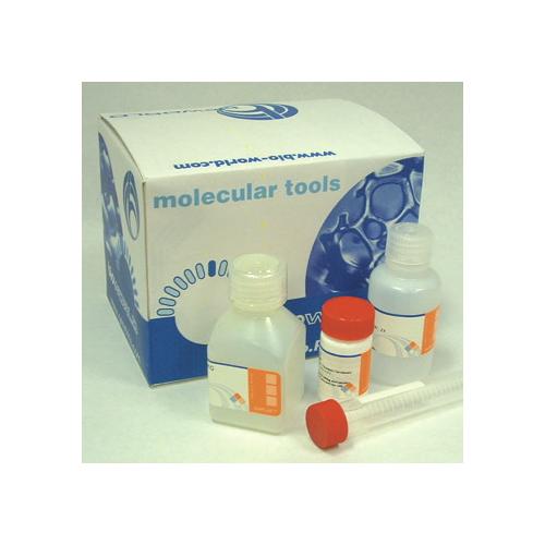 Denhardt's Solution, 100X Concentrate