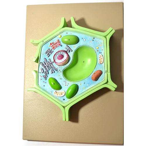 simple 3d plant cell