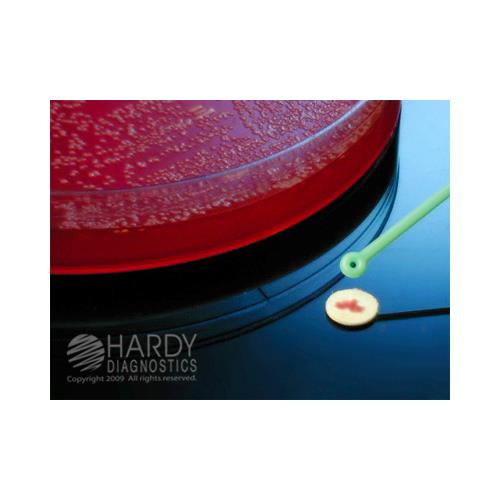 Nitrocef Disks™