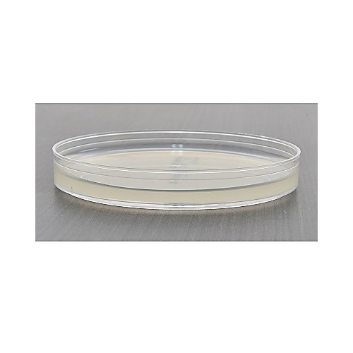 HardyCHROM™ Candida