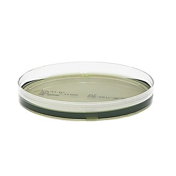HE (Hektoen Enteric) Agar