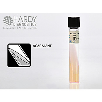 Tryptic Soy Agar (TSA) Slant