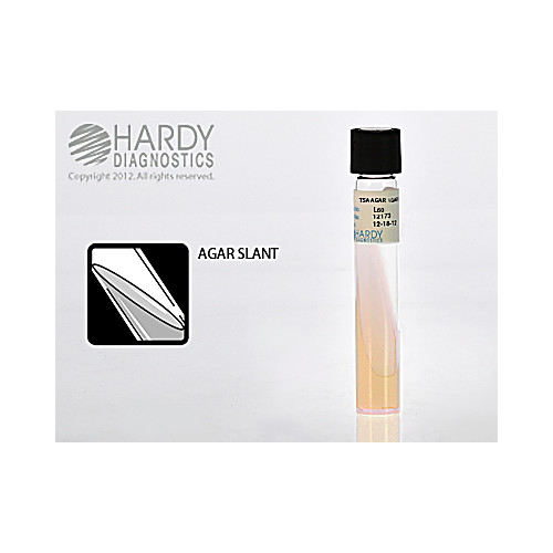 Tryptic Soy Agar (TSA) Slant