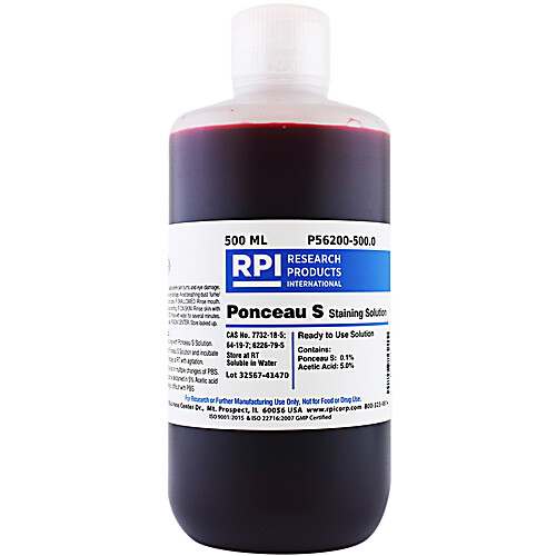 Ponceau S Staining Solution