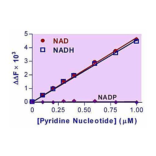 EnzyFluo™ NAD/NADH Assay Kit