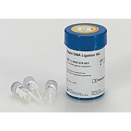 ROCHE Rapid DNA Ligation Kit
