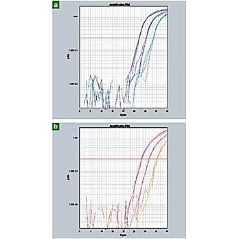 ROCHE FastStart Universal Probe Master (Rox)