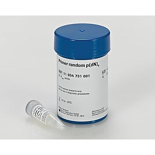 ROCHE Primer "random"