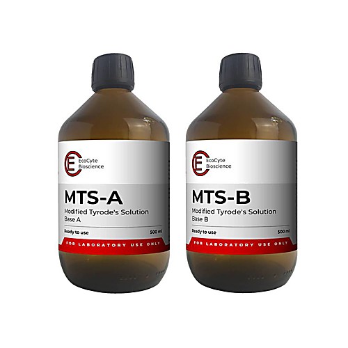 Modified Tyrode’s Solution (MTS)