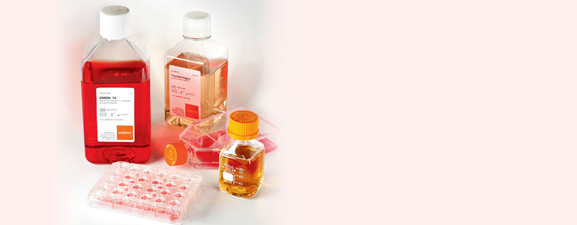 Thomas Scientific - Lab Supplies, Lab Equipment, Lab Chemicals, & Lab ...